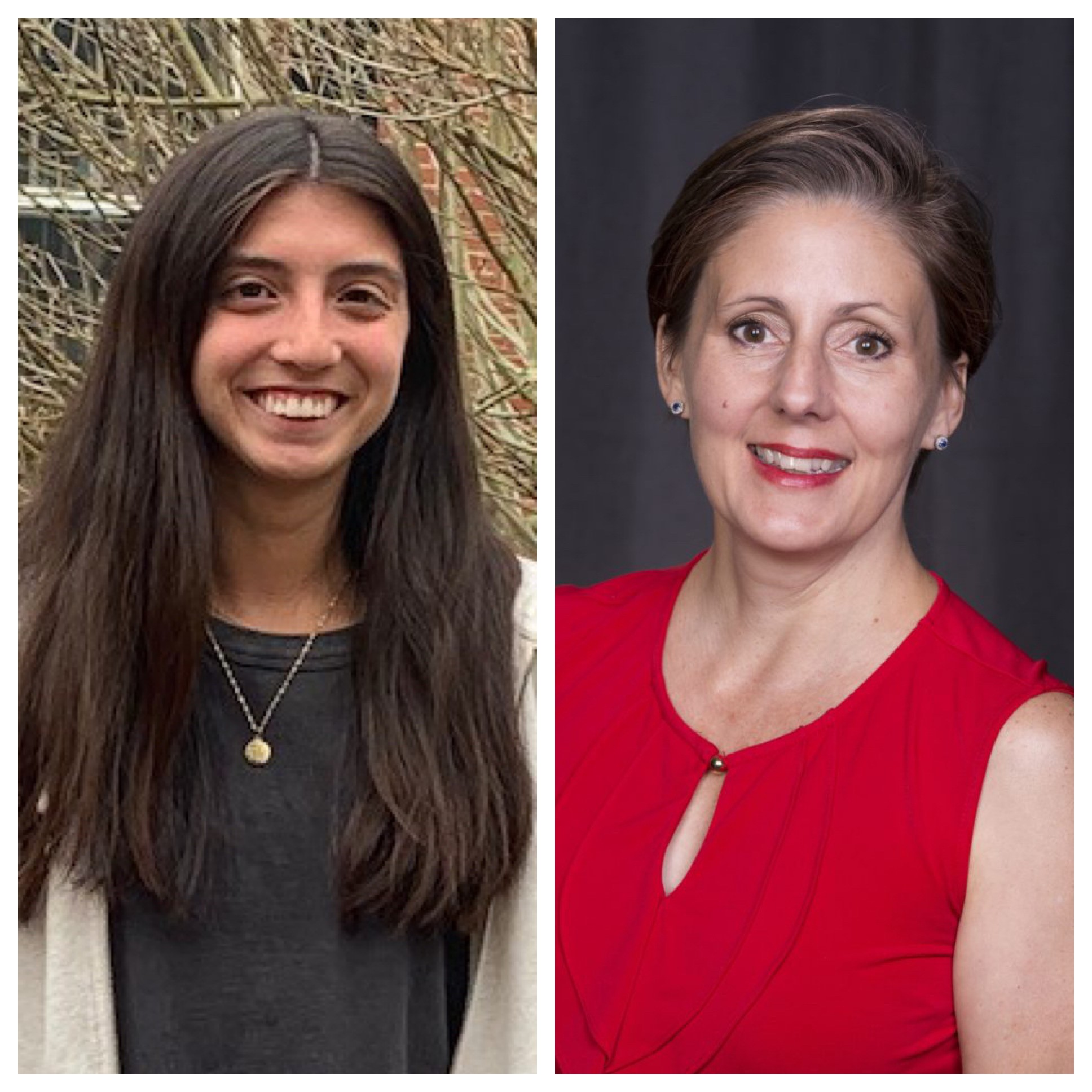 Piedmont University Professor, Student Co-Author Study Accepted to ...